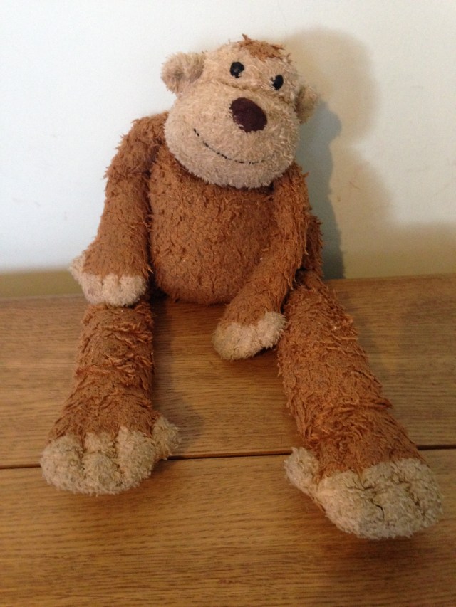 An Exclusive Interview With Mimi The Monkey – We Love, Teach, Grow